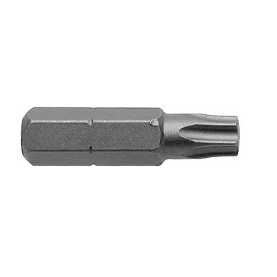 Apex 5/16 in. Tamper Resistant Torx Insert Bit, T-45-H, 1 1/4 in. - 480 ...